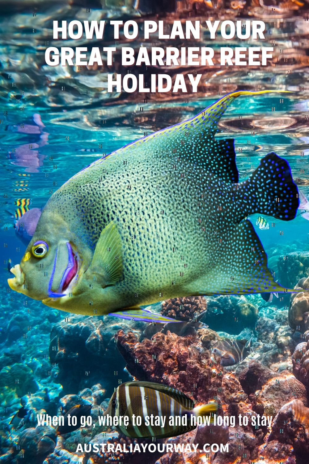 How To Plan Your Great Barrier Reef Holiday | Travel Australia ...