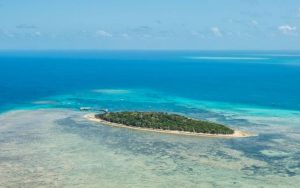 How to Choose the Right Queensland Islands for Your Holidays ...