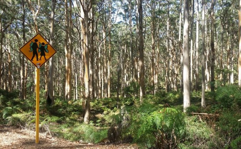 What to see and Where to go in Western Australia | Australia Your Way