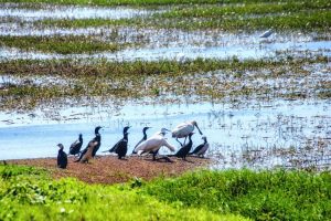 5 Reasons to visit Kakadu National Park | Australia Your Way