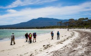 Australian Walking Holidays | Australia Your Way