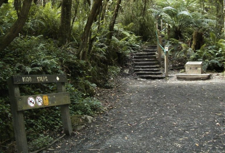 Walks in Melbourne for Exploring the City | Australia Your Way