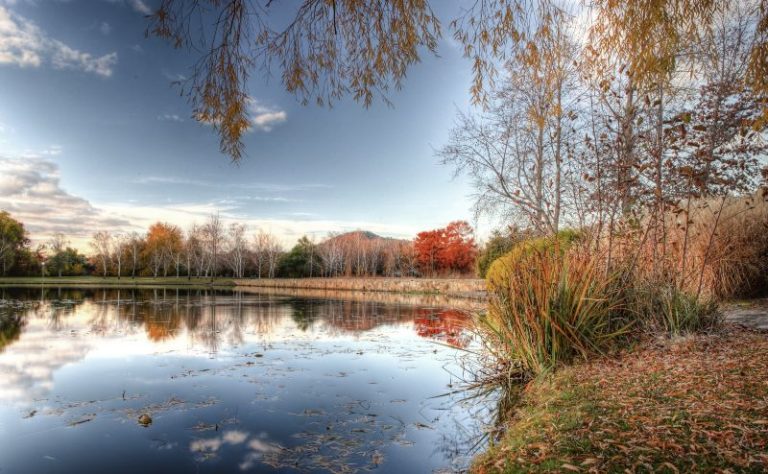 When is the Best time to visit Canberra | Australia Your Way