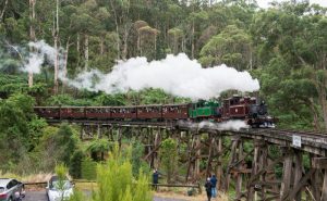 Gembrook - More than the home of Puffing Billy | Australia Your Way
