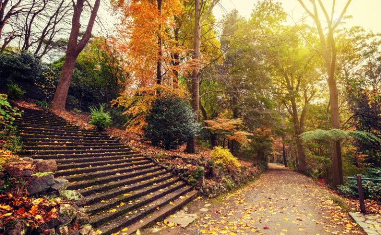 What to see and Where to go in Victoria | Australia Your Way