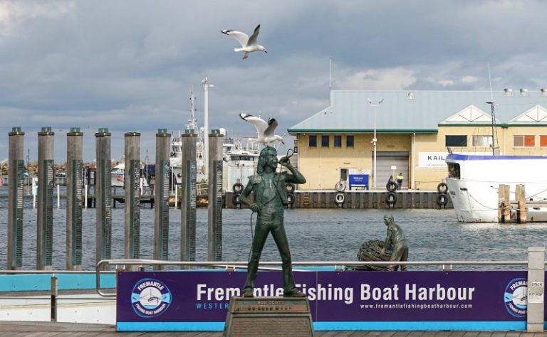 The 10 Absolute Best Things To Do In Fremantle | Australia Your Way