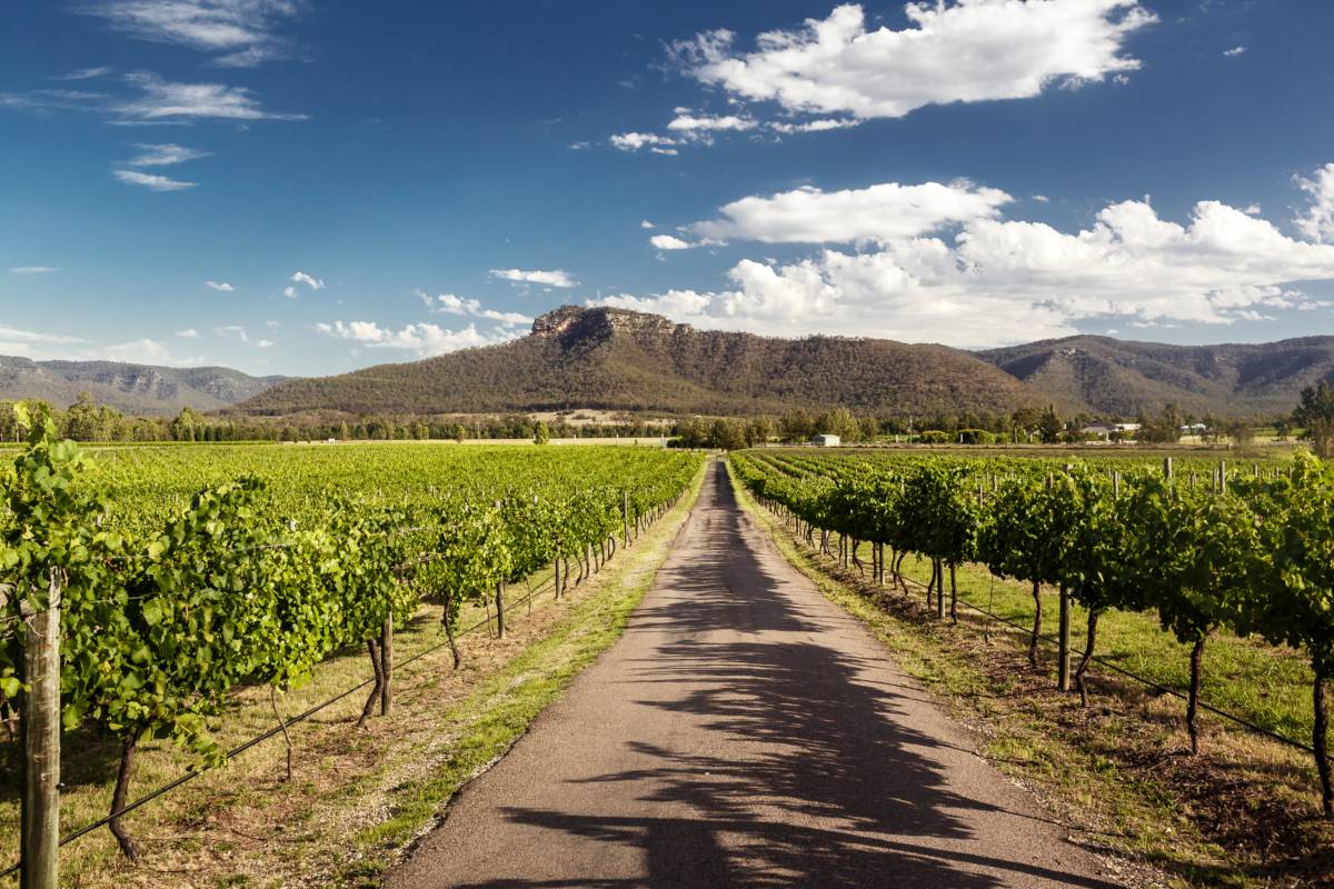 A Guide to the Best Known Wine Regions in Australia | Australia Your Way