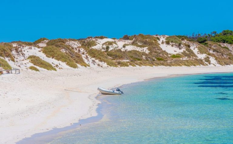 How to Plan the Perfect Rottnest Island Day Trip | Australia Your Way