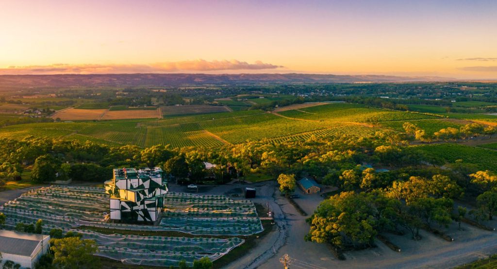 A Guide To The Best Wine Regions Of South Australia | Australia Your Way