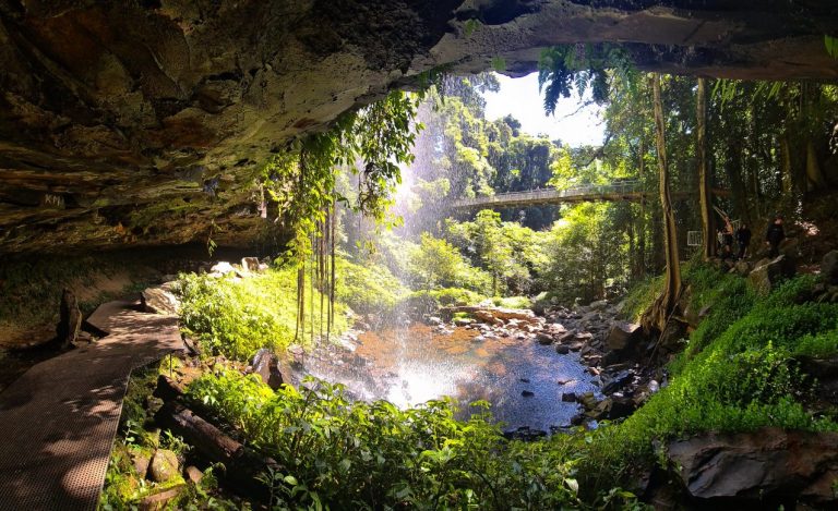 Driving the Incredible Waterfall Way in NSW [Itinerary] | Australia ...