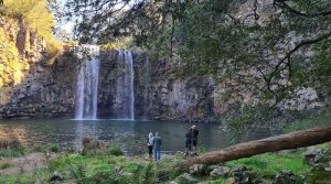 Driving the Incredible Waterfall Way in NSW [Itinerary] | Australia ...