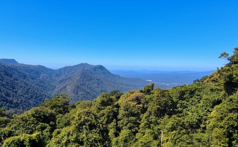 Driving the Incredible Waterfall Way in NSW [Itinerary] | Australia ...