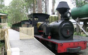 Visit Port Macquarie and Discover its Beauty. | Australia Travel Guides ...