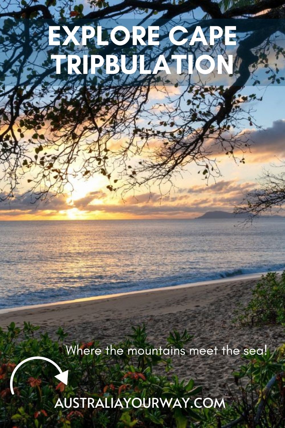 15 Epic Things to do in Cape Tribulation for First-Time Visitors ...