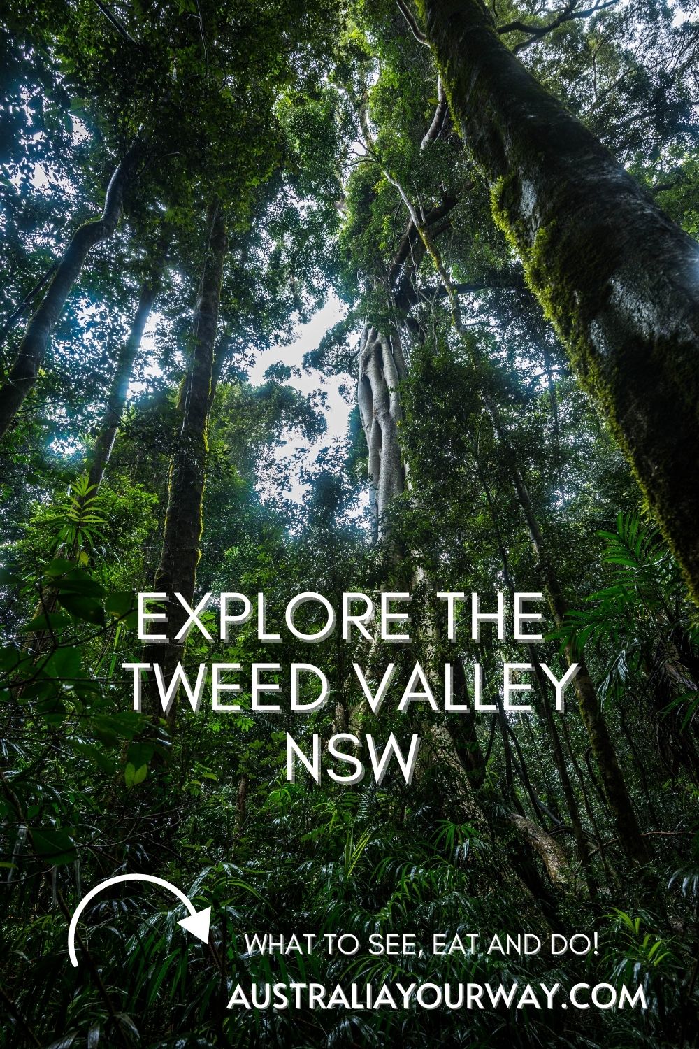 Exploring the Gorgeous Tweed Valley | Travel Australia | Australia Your Way