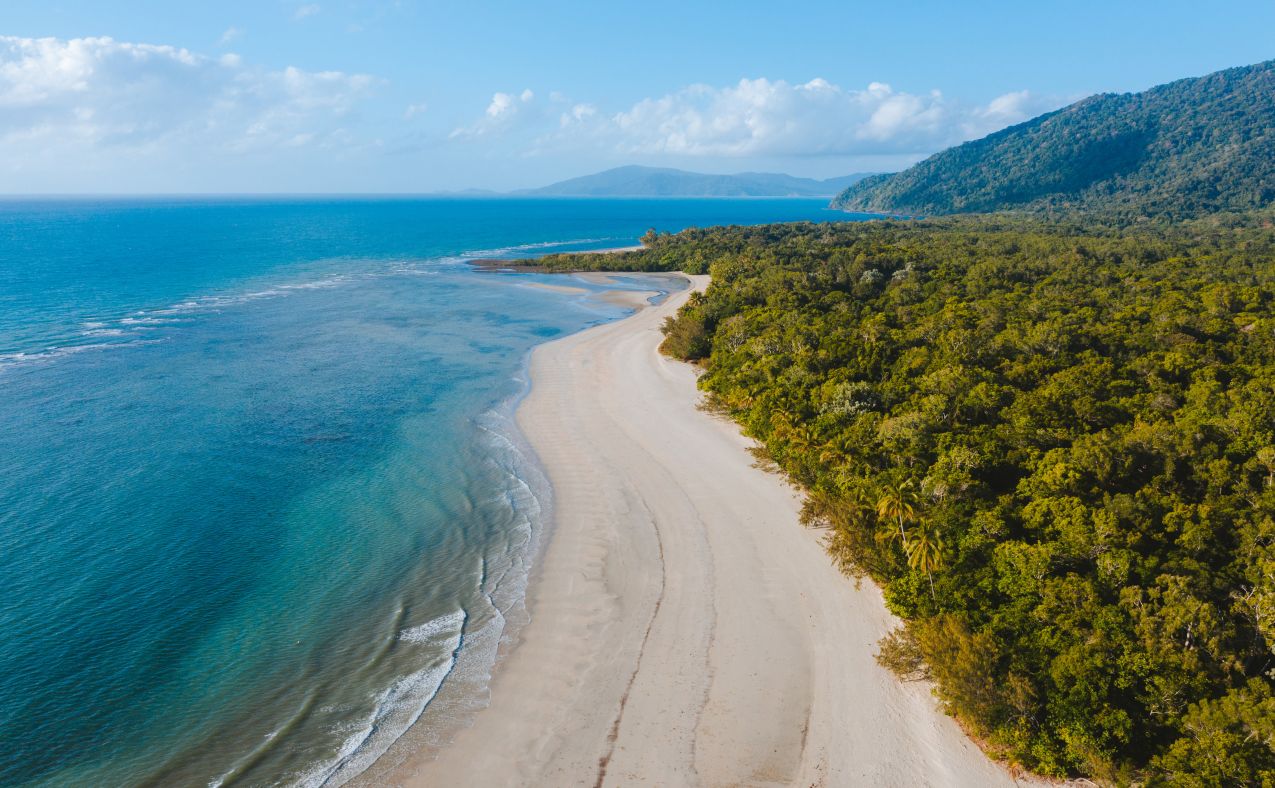 15 Epic Things to do in Cape Tribulation for First-Time Visitors ...