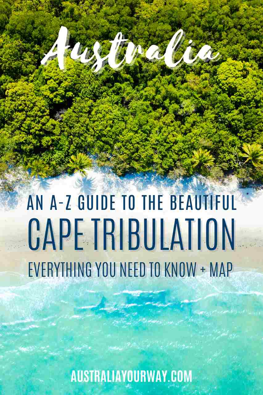 15 Epic Things to do in Cape Tribulation for First-Time Visitors ...