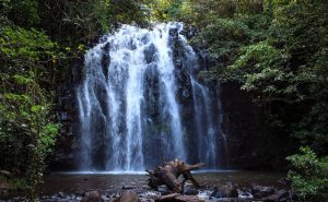 24 Beautiful Waterfalls in Cairns and Nearby North Queensland ...