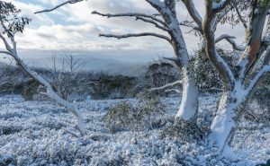 When is the best time to visit Victoria? | Australia Your Way