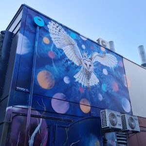 Adelaide Street Art - The City of Portrait Murals | Australia Your Way