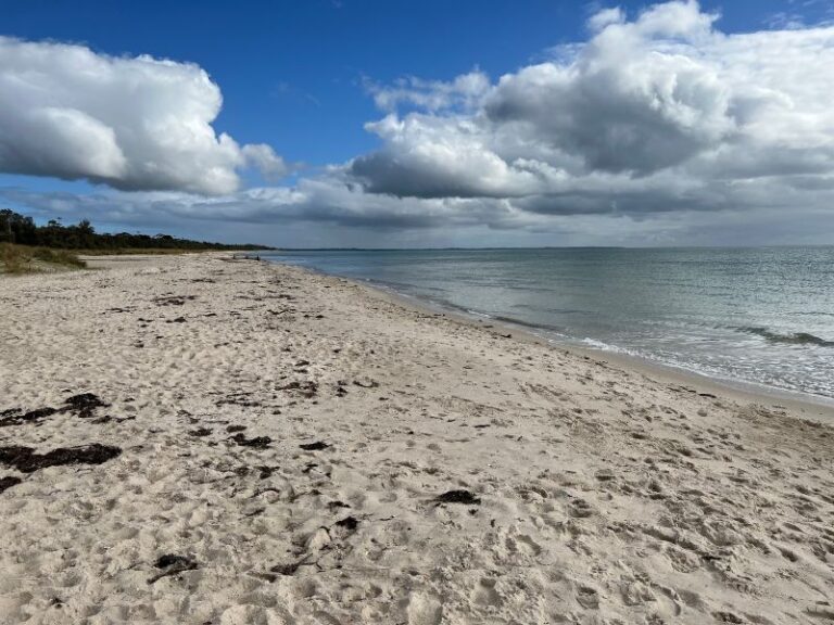 Best Beaches in Victoria: From Tranquil Bays to Surfing Hotspots ...