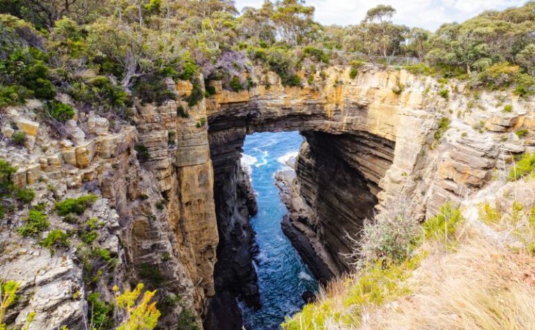 Hobart to Port Arthur: Essential Stops, Sights & Activities | Australia ...